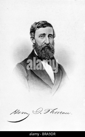 Portrait of Henry David Thoreau (1817-1862), 1847 Stock Photo - Alamy