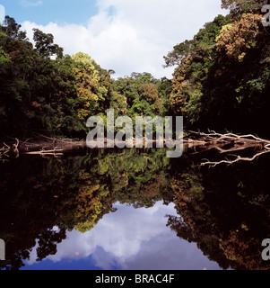Mazaruni river Guyana South America Stock Photo - Alamy