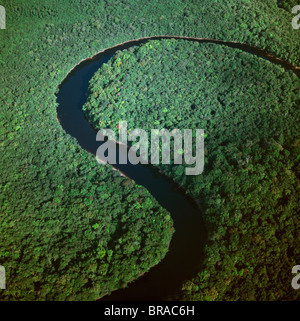 Aerial image of the Upper Mazaruni River, downstream from Kamarang ...