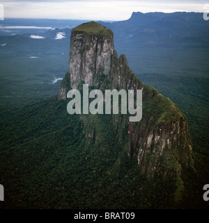 Aerial image of tepuis showing Mount Autana (Cerro Autana), Amazonas ...