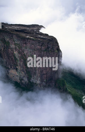 Mount Kukenaam (Kukenan) (Cuguenan), Venezuela, South America Stock ...