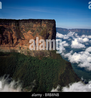 Aerial image of tepuis showing Mount Autana (Cerro Autana), Amazonas ...