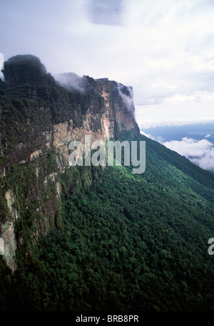 Aerial image of tepuis showing Mount Auyantepui (Auyantepuy) (Devil's ...