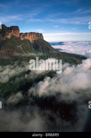 Auyantepui (Auyantepuy) (Devil's Mountain) from Carrao River, Canaima ...