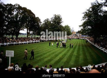 Parade ring at a race course with tree lined surrounds Stock Photo - Alamy