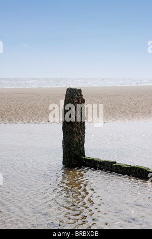 BEACH WITH TIMBER BREAKWATERS. KENT UK Stock Photo - Alamy