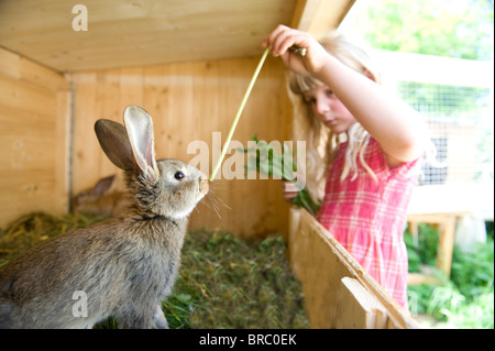 A girl at a rabbit hutch Stock Photo - Alamy