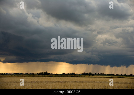 Rain Clouds empty their contents over the flat plains of Norfolk ...
