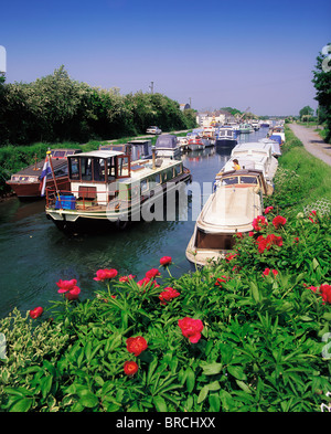 Lowtown Marina, Grand Canal, Co Kildare, Ireland; Boat Driving On The ...