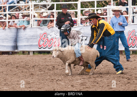 Mutton busting event, children riding sheep, Strathmore Heritage Days ...