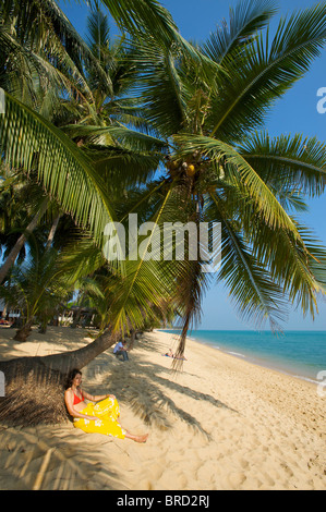 Palms at Mae Nam Beach, Ko Samui, Thailand Stock Photo - Alamy