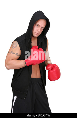 guy, hit, fight, fighting, strong, male, masculine, guard, blank ...