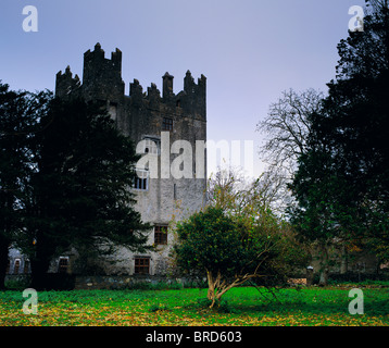 Castle Matrix, Co Limerick, Ireland; 15Th Century Castle Stock Photo ...