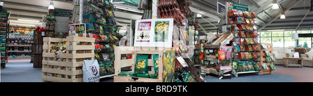 Selection of Autumn bulbs on display Stock Photo - Alamy
