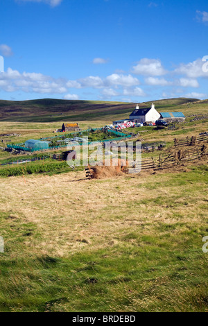 Croft house garden, Sandness, Mainland, Shetland Islands, Scotland ...