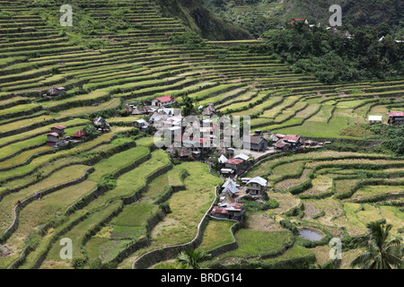 The Rice Terraces of the Philippine Cordilleras are an outstanding ...