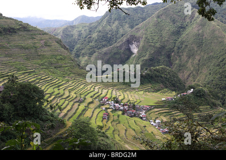The Rice Terraces of the Philippine Cordilleras are an outstanding ...