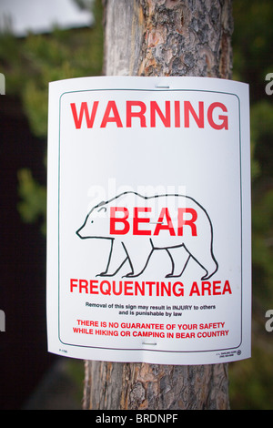 Bear warning sign, Yellowstone National Park, Wyoming Stock Photo - Alamy