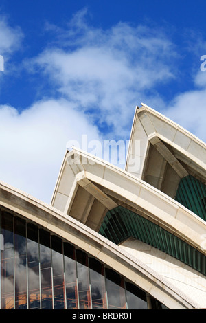 Detail of the Sydney Opera House roof referred to as shells are precast ...