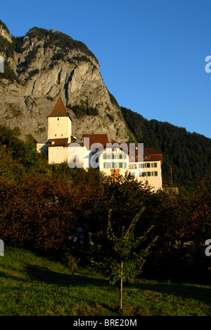Castle and town Wimmis, Bernese Oberland, Switzerland Stock Photo - Alamy