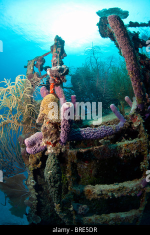 Ship wreck and island off of Roatan and Utila Bay Islands in the ...