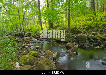 Swift River Bridge Quabbin Reservoir Massachusetts Stock Photo - Alamy