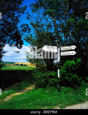 Belgooly, Co Cork, Ireland; Signpost Stock Photo - Alamy