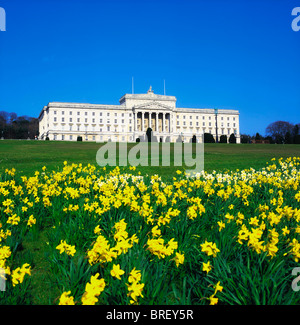 Stormont, Belfast, Co Antrim, Ireland; Interior Of The Central Hall And ...