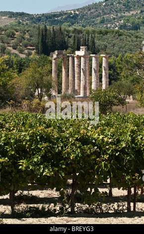Viticulture, Nemea, Corinthia, Peloponnese, Greece Stock Photo - Alamy