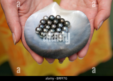Grade A Black Pearls in the Cook Islands Stock Photo - Alamy
