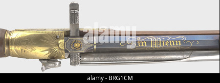 Girandoni Air Rifle Stock Photo - Alamy