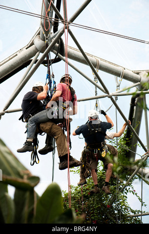 Men suspended from ropes inside the Mediterranean Biome at The Eden ...