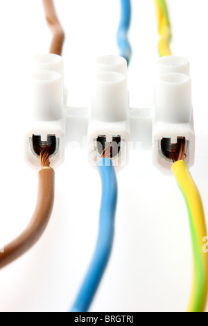Luster terminal, for connecting electric cables Stock Photo - Alamy