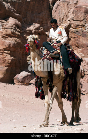 Bedouin camel rider, Petra, Jordan Stock Photo - Alamy