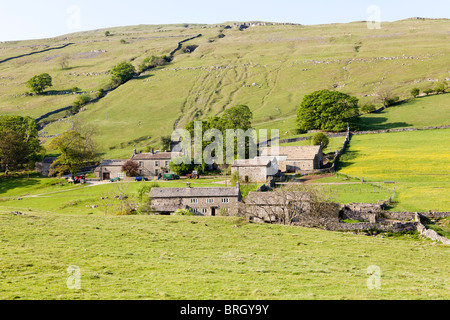 Typical Yorkshire Dales hill farm, near Swaledale UK Stock Photo - Alamy
