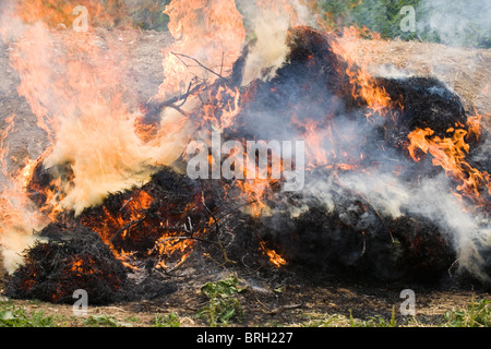 smoky garden bonfire fire flame flames flaming fire burn burns burning ...