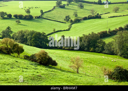 Woolley Valley shot from Swainswick showing controversial chicken shed ...