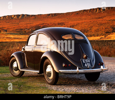 1951 VW Volkswagen Beetle split oval rear window Stock Photo - Alamy