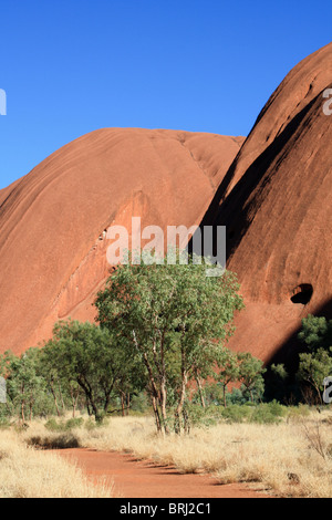 Uluru - Ayers Rock. Aboriginal sacred place. UNESO world heritage. Red ...