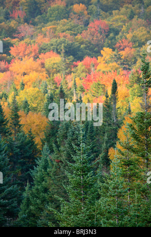 Autumn foliage along Route 302 in Carroll, New Hampshire USA Stock ...