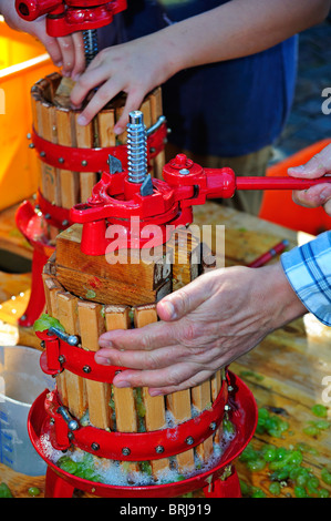 grape press pressing wine making winemaking winemaker juice squeeze ...