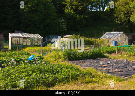 Allotments in England, UK with greenhouse, allotment and gardening ...