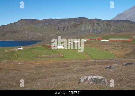 Greenland, Small farming community of Itilleq located along Erik's ...