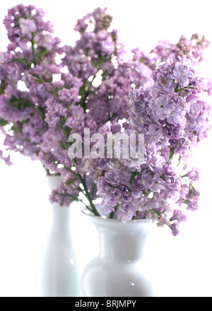 lilac, vase, lilacs, vases Stock Photo - Alamy