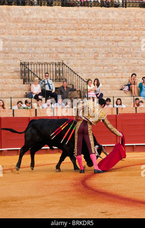 matador and bull in bull fighting scene in sevilla, spain Stock Photo ...