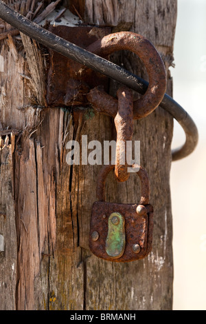 Old rusty padlock on wooden doors, old blue destroyed door, rust streak ...