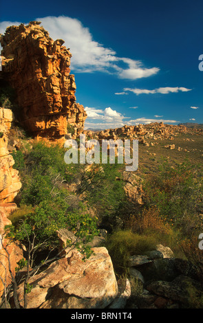 Cedarberg Wilderness Area - South Africa Stock Photo - Alamy