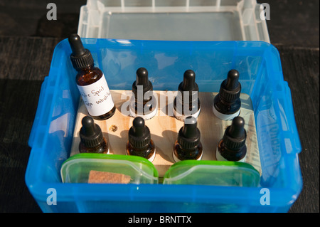 Flammable accelerant bottles to train sniffer dogs Stock Photo - Alamy