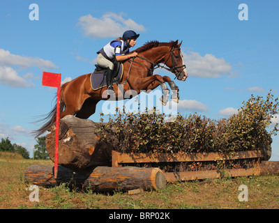 This horse and rider are navigating a log jump obstacle on a 3-day ...