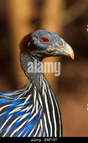 Detailed close up view on aged concrete walls with cracks and lots of ...